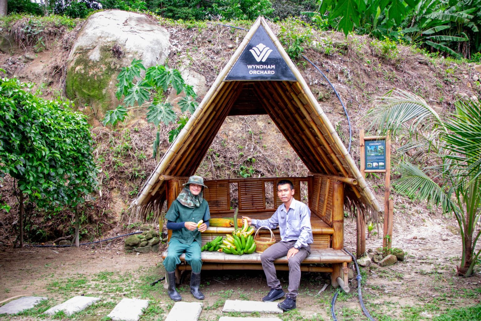 Wyndham Grand Phuket Kalim Bay Launches Stingless Bee Project to ...